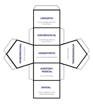 What Are The 7 Different Learning Styles And Do They Work? | Avado