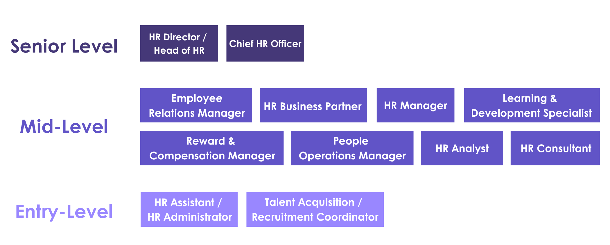 Management for HR Guide: Skills, Systems & Strategy